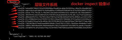 Docker 镜像浅析，以及制作自己的镜像 甜点cc 博客园