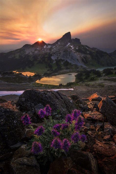 千里之行，始于足下；不积跬步，无以至千里；不积小流，无以成江海江海千里美梦成真新浪新闻