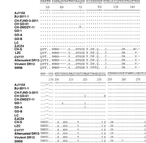Partial Peptide Sequence Alignment Of The S Genes Of The 10 Current