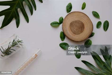 화장품 스킨케어 자연 배경 플랫 하다 그린 허브와 약초 잎beauty 스파 제품 평면도 건강관리와 의술에 대한 스톡 사진 및 기타 이미지 Istock