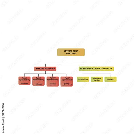 Diagram Showing Types Of Adverse Drug Reactions Immune Type I Iv And Non Immune