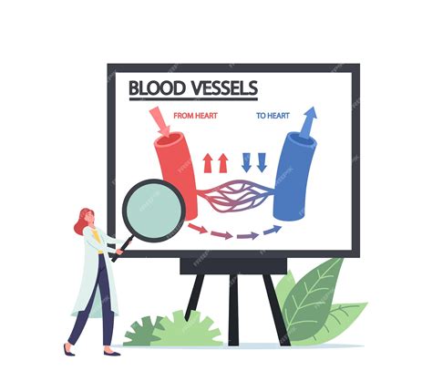 Premium Vector Tiny Doctor Character With Huge Magnifier In Hands