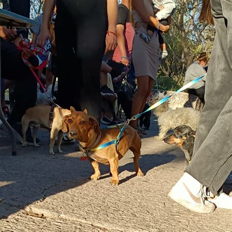 Alba Market Aguascalientes