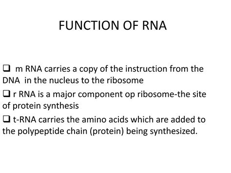 Rna Structure And Function Ppt