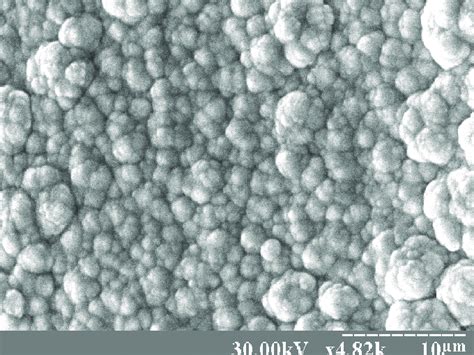 Sem Image Of The Surface Of The Tin Coating Download Scientific Diagram