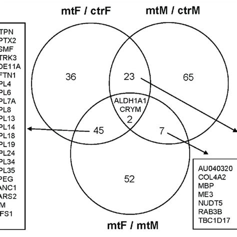 Overlapping And Non Overlapping Changes In Protein Expression In The Download Scientific