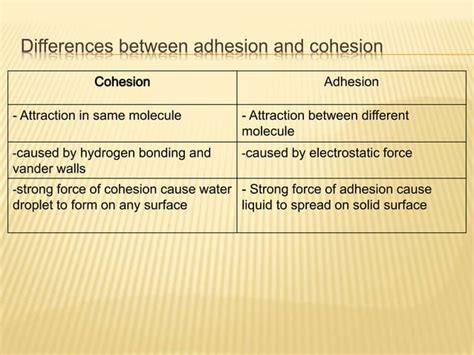 Cohesion And Adhesion Pptx
