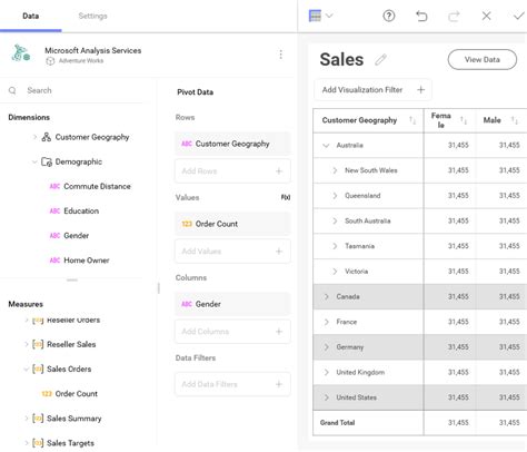 working with microsoft analysis services infragistics reveal™ help