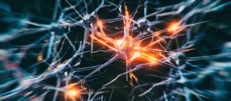 The Anatomy Of Cbrs Solutions For Private Networks Cradlepoint