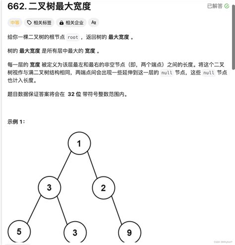 662 二叉树的最大宽度 Csdn博客