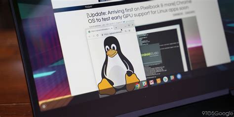 Install Linux Apps On Chrome Os