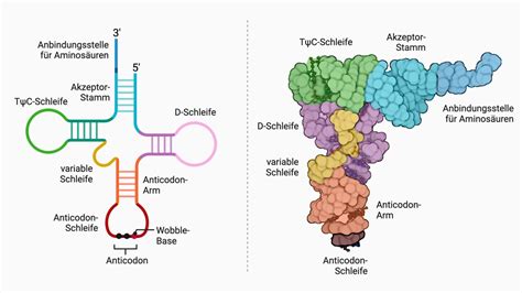 Trna Doccheck