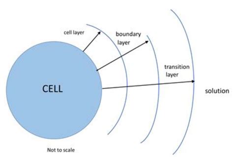 Ijms Free Full Text Stochastic Reaction Diffusion Model Of The Binding Of Monoclonal