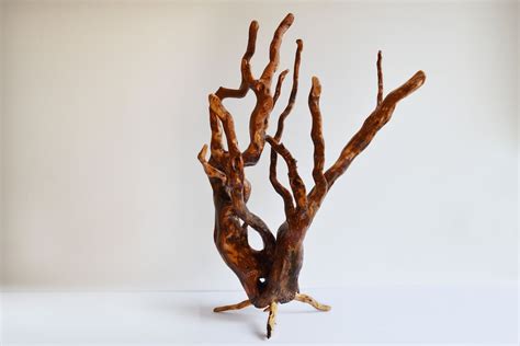 Tree Root Sculpture Wood Sculpture Unique Root Decoration Rustic Wood Sculpture Art Home