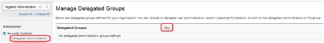 delegated administration in salesforce ~ salesforce tutorials