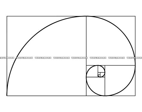 Fibonacci Spiral Svg Fibonacci Spiral Cut File Fibonacci Etsy