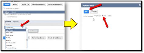 User Permission Report NetSuite Segregation Of Duties
