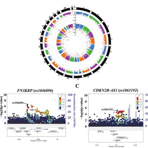A Circular Manhattan Plot Summarizing The Findings From The