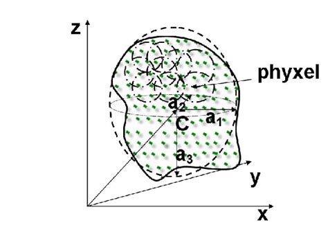 The Meshless Deformable Model Download Scientific Diagram