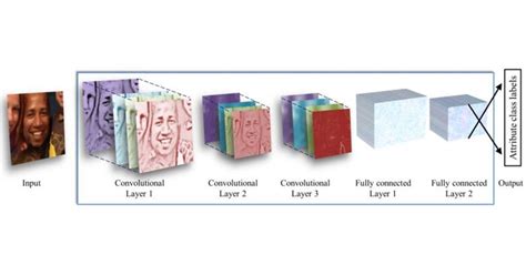 Age And Gender Classification With Opencv And Deep Learning On Raspberry Pi