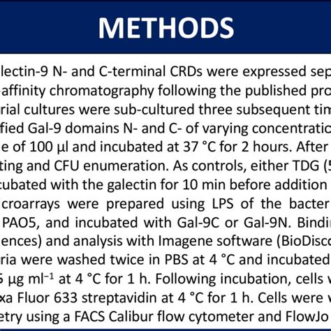 Structure Of Papain Download Scientific Diagram