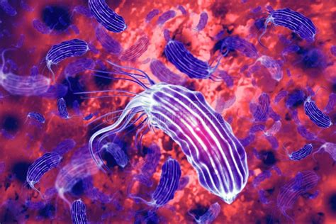 Bacteria On Scientific Background Stock Illustration Illustration Of Cells Illness