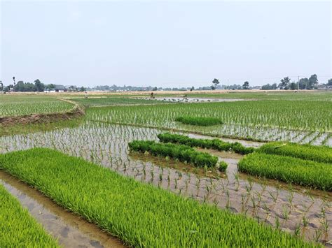灌区水效领跑者第二批四川都江堰灌区 人民渠第二管理处片 经验做法 中国节水灌溉网