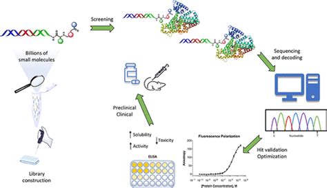 Dna Encoded Chemical Libraries A Comprehensive Review With Succesful