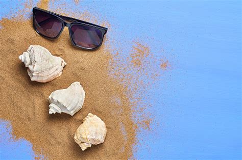 검은 색 선글라스 근처 조개 와 파란색 긁힌 콘크리트에 흩어져 마른 모래의 행 텍스트의 공백입니다 맨 위 보기 감금 상태에 대한 스톡 사진 및 기타 이미지 Istock