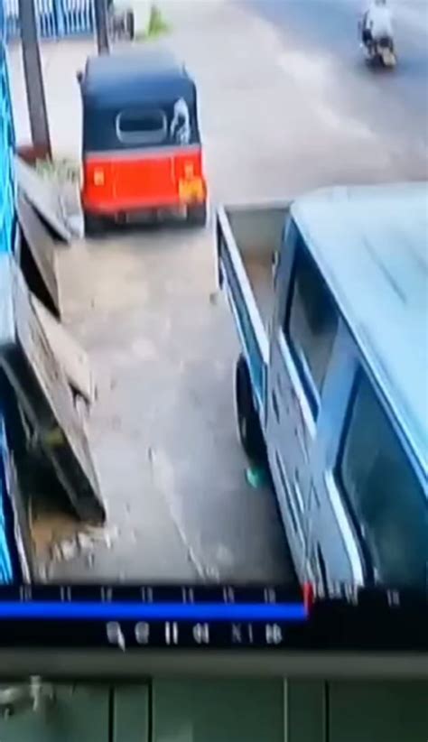 ඩොල්පින් කෙනෙක් වෙන්න හිටපු එකෙක් මේ ආත්මේ මනුස්සයෙක් වෙලා බස් එකක ගියාම 😂 R Tkasylum