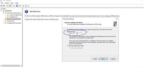 Konfigurasi Dns Server Windows 2019 Hebatwijaya