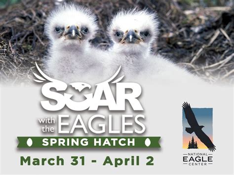 Soar With The Eagles Returning To National Eagle Center