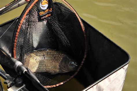 Что такое квивертип для фидера и какой ставить на рыбалке