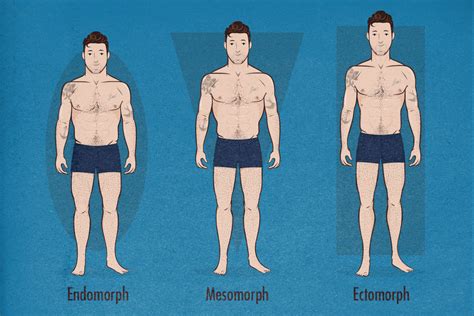 Bony To BeastlyThe Skinny On Body Types Endomorphs Mesomorphs Ectomorphs