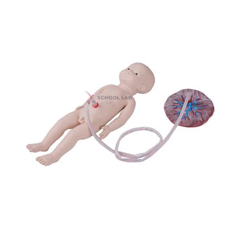 Neonatal Umbilical Cord Nursing Model Male China Manufacturers