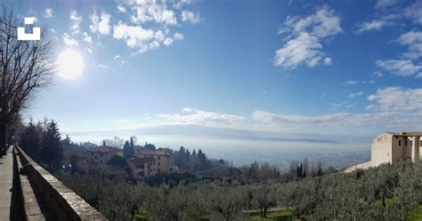 낮 동안 푸른 하늘 아래 흰색 콘크리트 건물 근처의 녹색 나무 사진 Unsplash의 무료 아시시의 이미지