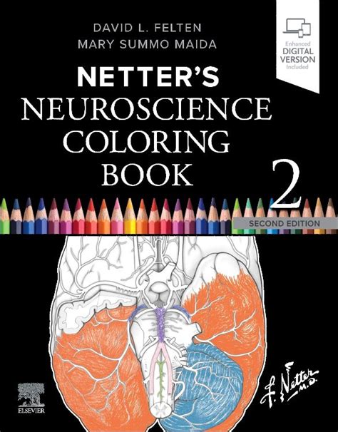 Netters Neuroscience Coloring Book 2nd Edition David L Felten Isbn 9780443117312
