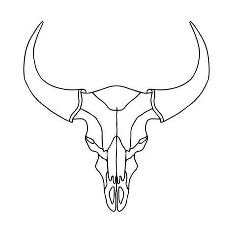 Desenho Linear Do Crânio De Um Touro Ilustração Em Vetor De Um Touro