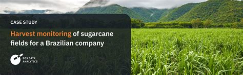 Harvest Monitoring Of Sugarcane Fields For A Brazilian Company
