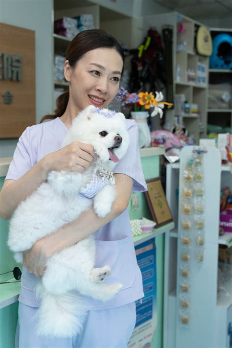 宠物医生高清图片 宠物医生抱着小狗385 人像图片免费下载格式3333像素编号67603321 千图网