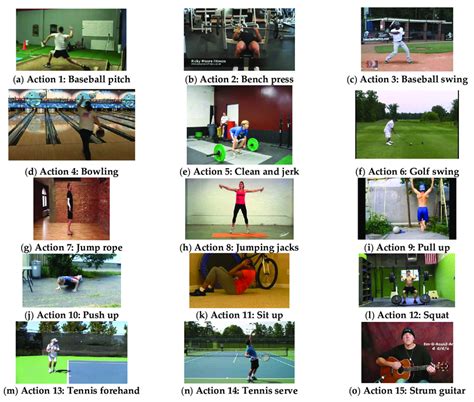 Sample Images From The Coco Dataset Download Scientific Diagram