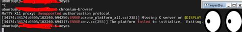 Ubuntu X11 Fails To Forward Chromium Browser By The Error Motty X11