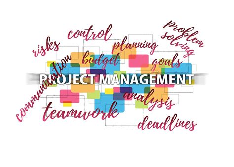 Project Management Problem Solving