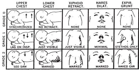 Silvermananderson Score Member Login Oakes Academy