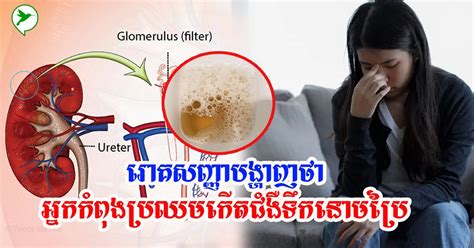 មូលហេតុ និងរោគសញ្ញាបង្ហាញថាអ្នកកំពុងប្រឈមកើតជំងឺទឹកនោមប្រៃ