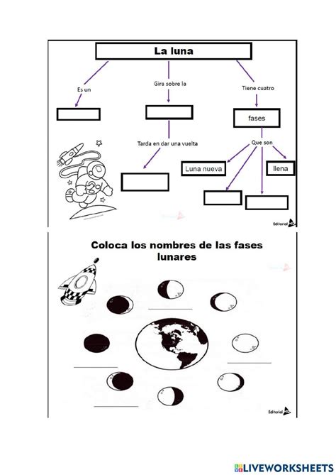 Fases De La Luna Online Exercise For Cuarto De Primaria
