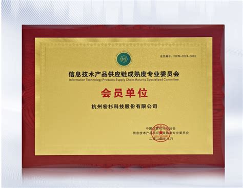 宏杉科技正式成为信息技术产品供应链成熟度专业委员会会员单位 Doit 数据产业媒体与服务平台