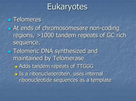 Replication Ppt Replication Ppt