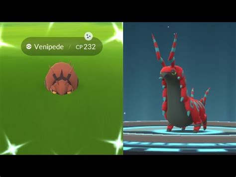 Venipede Evolution Chart