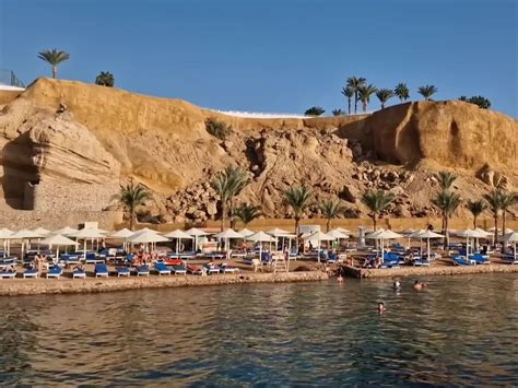 Отдых в ЕГИПТЕ в НОЯБРЕ Погода море цены плюсы и минусы Стоит ли лететь Ехать можно Дзен